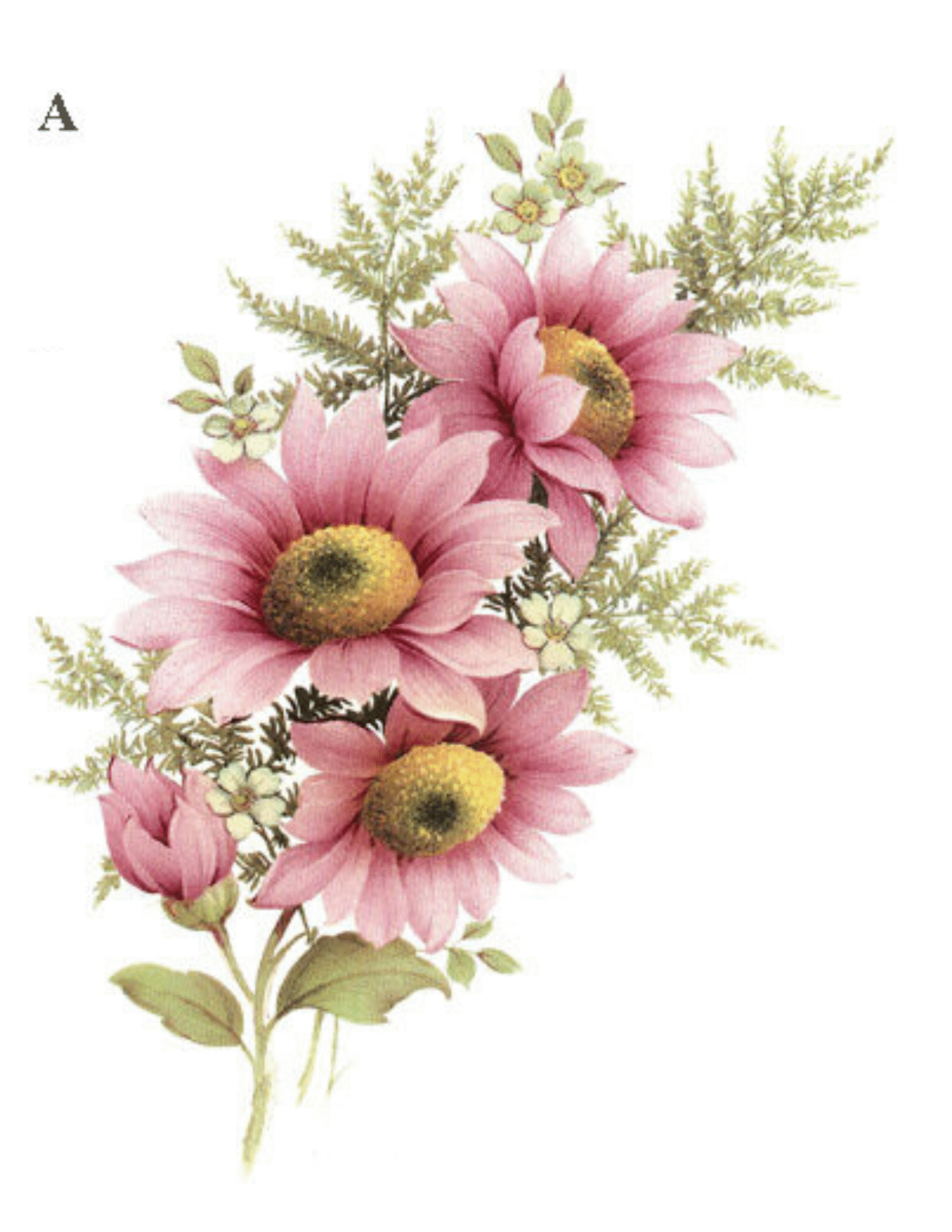 S3204 - Bailey Decal Ltd