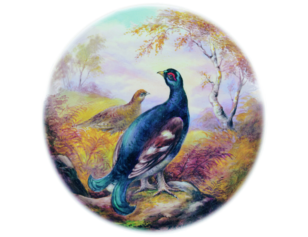 T169 CLEARANCE - Bailey Decal Ltd