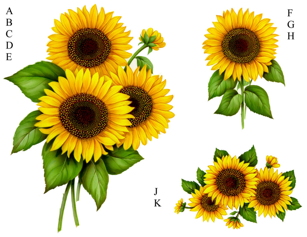 S101 - Bailey Decal Ltd