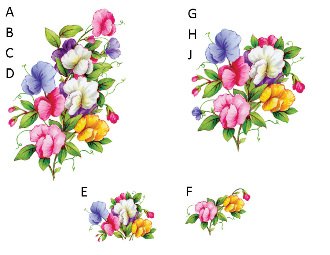 FLORAL - Bailey Decal Ltd