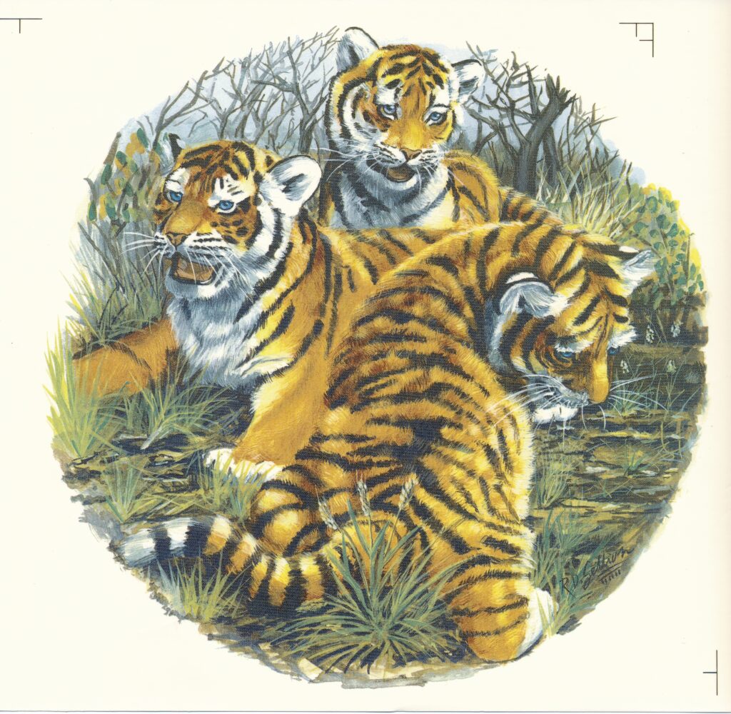 M129 CALL OF THE WILD - Bailey Decal Ltd